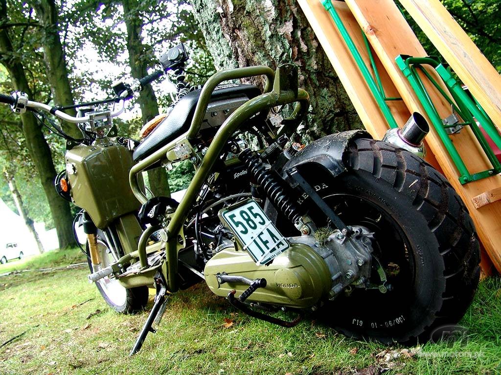 Honda Zoomer Ruckus Wallpaper | Motors.pk